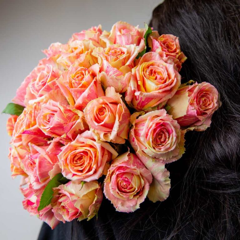 Fiesta Roses - The Wild Bunch