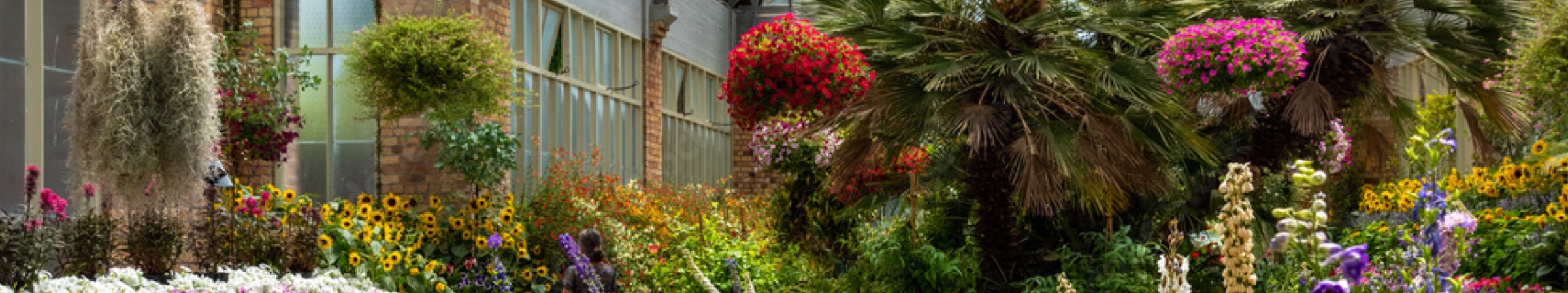 Auckland Flower Delivery - The Wild Bunch
